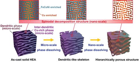 The Schematic Diagram For The Architecture Of The Hierarchical Porous Download Scientific