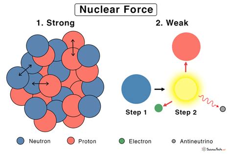 Weak Nuclear Force Examples