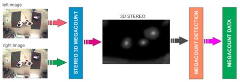 Stereo 3d