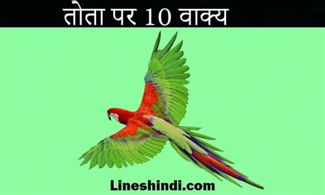 तोता पर 10 वाक्य 10 Lines On Parrot In Hindi