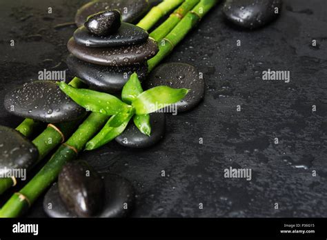 Spa Concept With Black Basalt Massage Stones And Lush Green Foliage