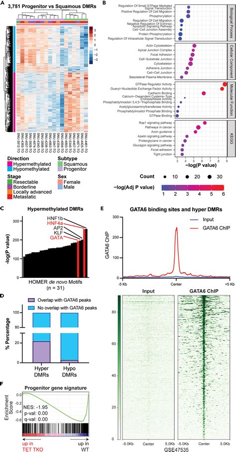 Whole Genome Bisulfite Sequencing Identifies Stage And Subtype