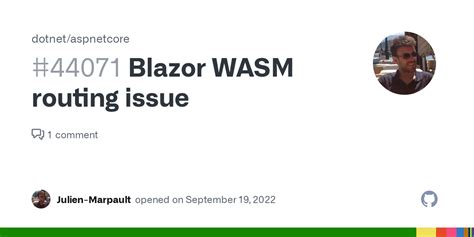 Blazor WASM Routing Issue Issue 44071 Dotnet Aspnetcore GitHub