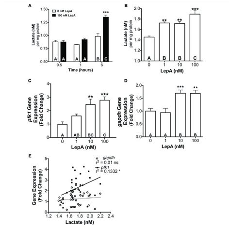 Bioactivity Guided Tcgapdh Assays Used For Fractionation Of Spiranthera