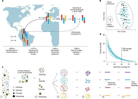 European Potato Genome Decoded Researchers Find Small Gene Pool With