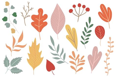 Conjunto De Hoja De Otoño Vector Premium