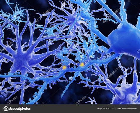 Protoplasmic Astrocytes Violet Play Active Role Neuronal Communication