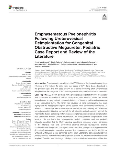 Pdf Emphysematous Pyelonephritis Following Ureterovesical Reimplantation For Congenital