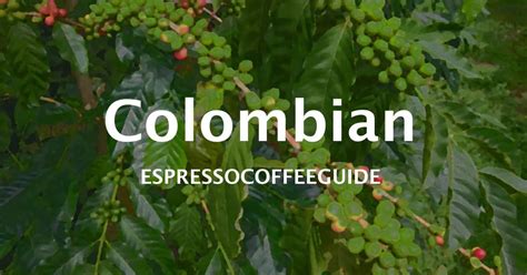 Granos De Café Colombiano Dubitinsider