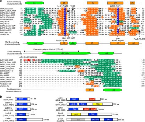 Legionella Encodes A Preponderance Of SH2 Domains A Structure Guided