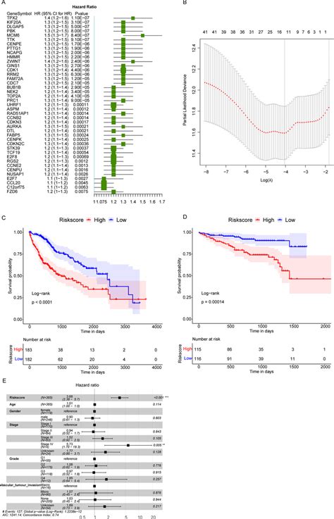 The Construction Of Predictive Risk Score For Hcc A Hcc Prognostic