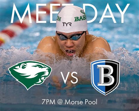 The Beavers Are Babson College Swimming And Diving