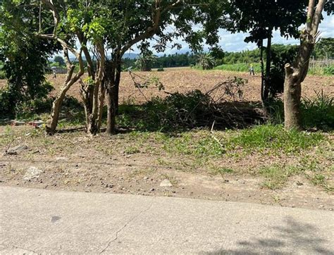 Mini Palawan In Bulacan [4 788 Properties] January 2024 On