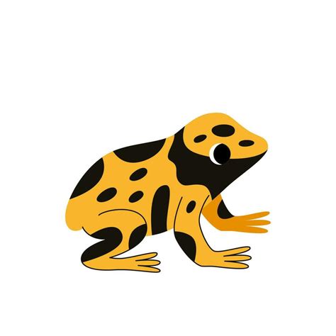 Vector Illustration Of Cute Yellow Banded Poison Dart Frog Isolated On White Background