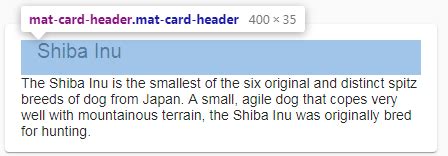 How To Fill In The Angular Material Card Header Stack Overflow