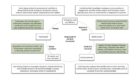 Conceptual Framework The Barriers And Facilitators To Tb Diagnosis And