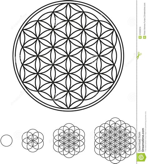 Unlocking The Beauty Of The Flower Of Life Flower Of Life Design