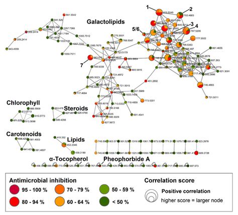Bioactive Molecular Networking Of The Fractionated F Vesiculosus Download Scientific Diagram