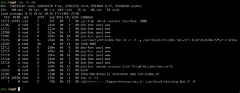 Php Why Is Kubernetes Pod Taking More Memory Than Its Processes Take
