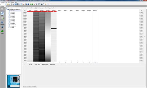 Interpretation Of Bioanalyzer Results · Robertslab Resources · Discussion 1433 · Github