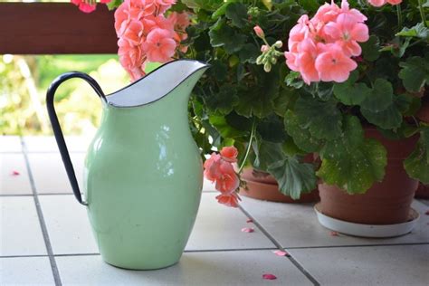Cómo regar las plantas en vacaciones y que no se mueran Jardineria On