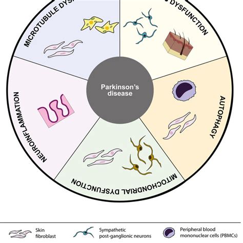 schematic summary of peripheral tissues linked to each pathological