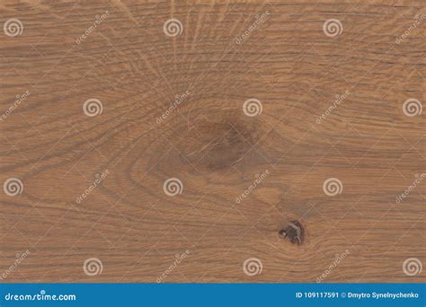 Classic Oak Texture With Natural Wood Patterns Stock Image Image Of