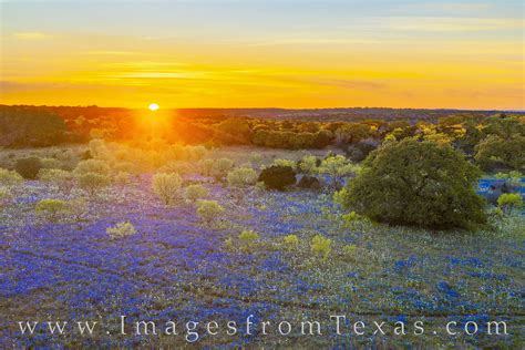 Aerial Bluebonnet Sunset In The Hill Country 413 2 Texas Hill Country