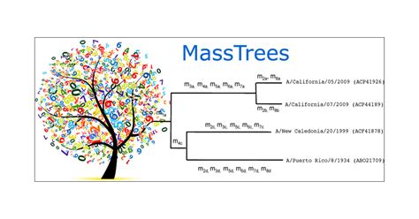 Mass Trees A New Phylogenetic Approach And Algorithm To Chart