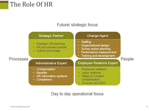 The Role Of Hr Ppt PowerPoint Presentation File Infographic Template