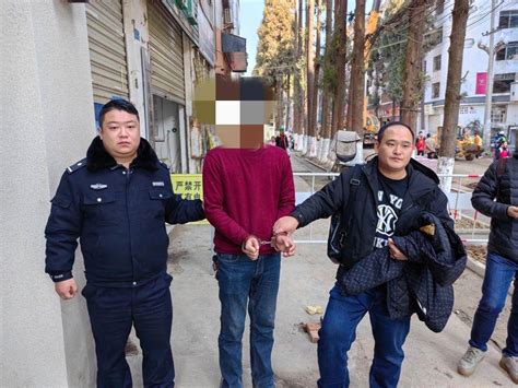 男子用ai编造发布“警方在一男子家中查获多支枪支”谣言，被采取刑事强制措施 彭某 网络 苏州