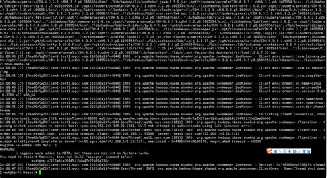 Hbase Hbck2修复工具介绍和实践 hbck2 z CSDN博客