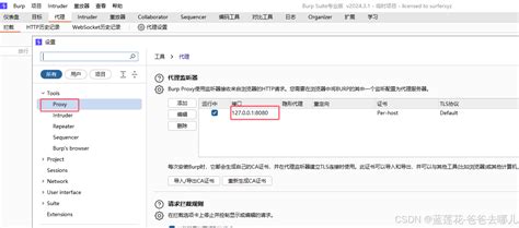 小程序渗透教程——接口测试proxifierburpxray及代码反编译killwxapkg Csdn博客