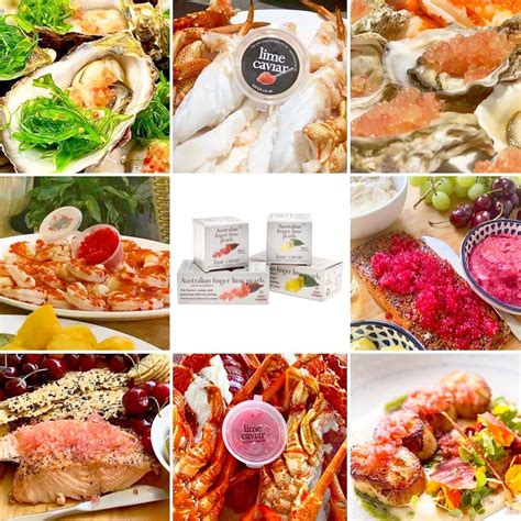 라임 캐비아는 굴 새우 바닷가재 초밥 생선 생선 등 모든 A2k International