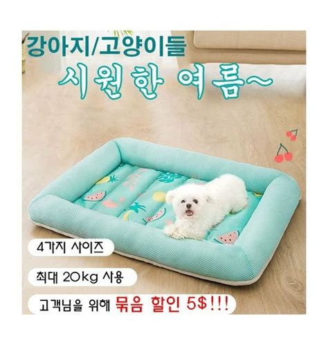 여름 애견방석 강아지 고양이쿨매트 마약방석 사계절방석 티몬