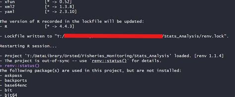 Renv Restoring Packages In R Project On Shared Mapped Drive Posit