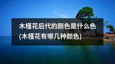 木槿花后代的颜色是什么色 木槿花有哪几种颜色 养花经验