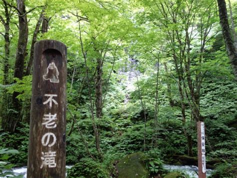 奥入瀬渓流を効率よく攻略しよう！地元で聞いた散策の裏技紹介します ガレージ隼人