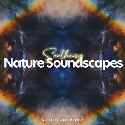 Soothing Nature Soundscapes Album By Wildlife Recordings Spotify