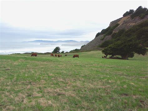 Carbon Farming San Mateo Rcd