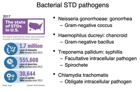 Stds Flashcards Quizlet
