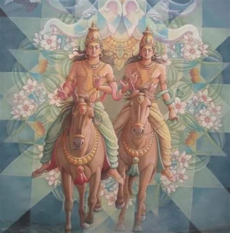 Ashvini Kumaras Roshani Chokshi Wiki Fandom