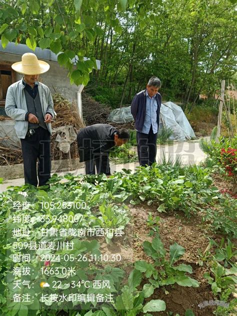 禁毒踏查不止步 共守净土保平安—何坝镇扎实开展禁种铲毒搜山踏查工作毒品种植群众