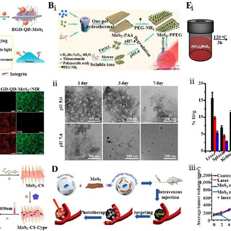 Functionalized Mos 2 Based Nanomaterials For Ptt A Fluorescent Qds