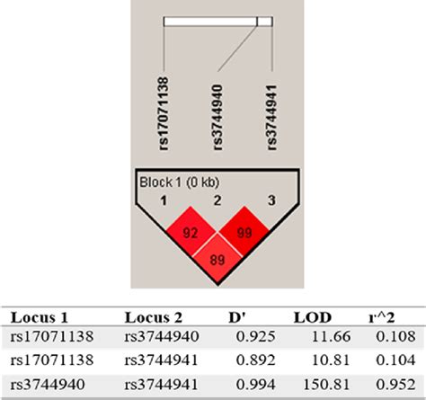 Linkage Disequilibrium Ld Plot For Serpinb5 Promoter Variants