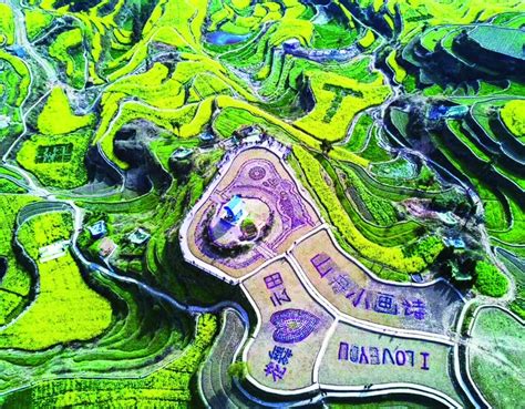 青田小舟山乡油菜花庄园