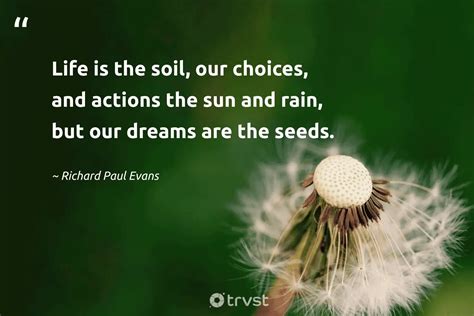 38 Seed Quotes To Inspire Growth Patience And Resilience 2025