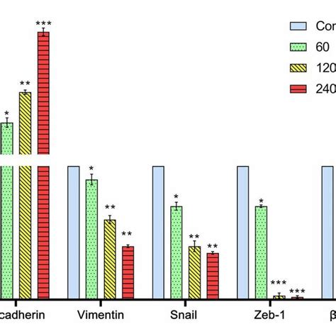 The Mda Mb 231 Cells With Epithelial Like Morphology Growth In