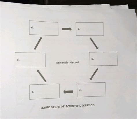 6 1 Scientific Method 2 4 3 BASIC STEPS OF StudyX