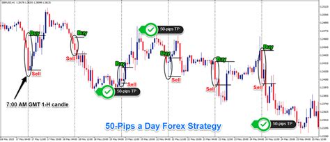 Complete Guide To Forex Trading Strategies